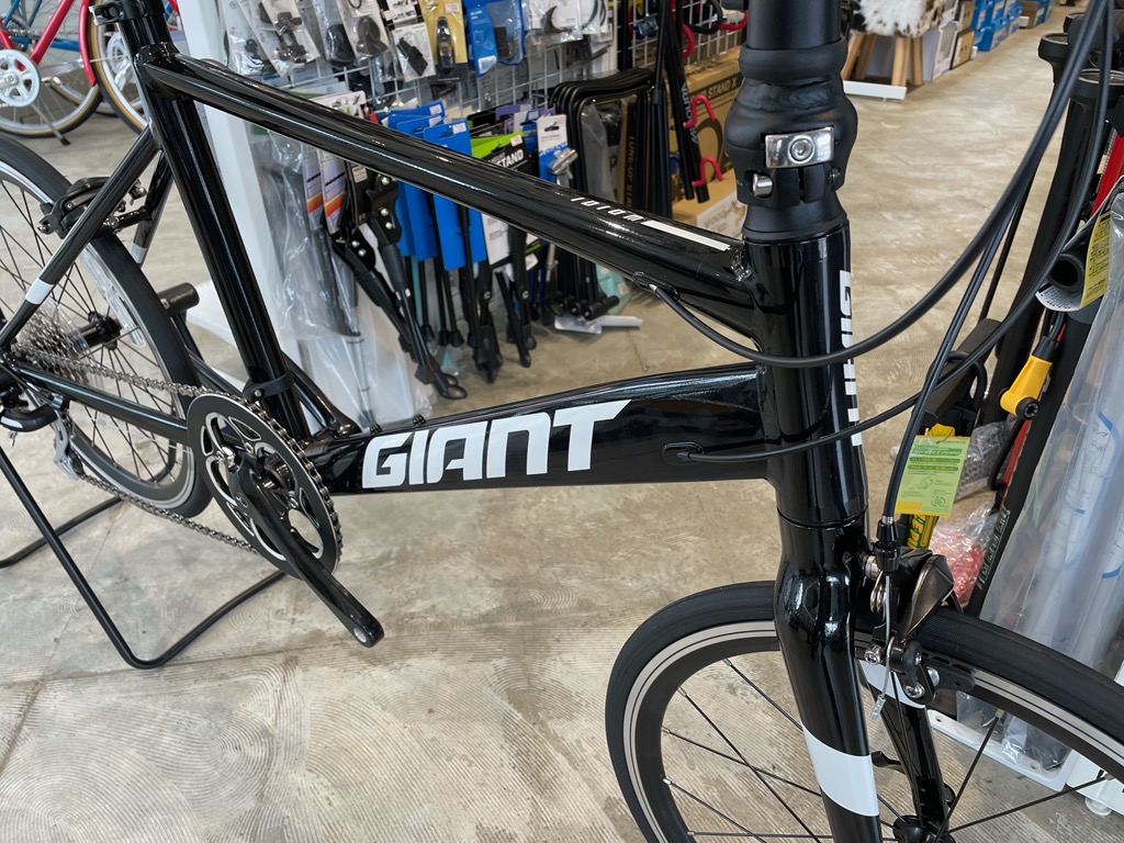 GIANT IDIOM 2 – サイクランドマスナガ